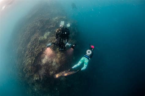 Stan Original Great Barrier Reef Documentary Revealed: Reefshot - Content + Technology