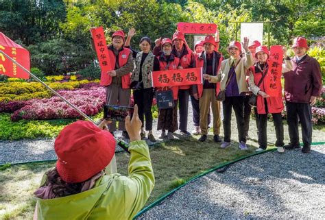 2024年第二十届嘉定菊花展摄影征稿评选结果揭晓！有你心动的吗？