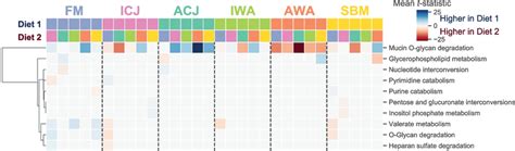 Hierarchical Clustering Of The Significantly Enriched Metabolic Download Scientific Diagram