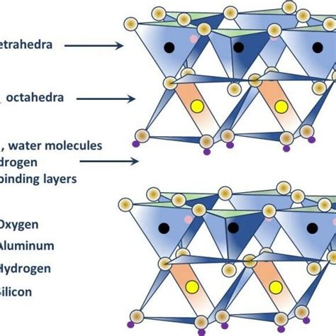 Silicate Ions Of Laponite Enhances Cell Adhesion And Spreading On Download Scientific Diagram