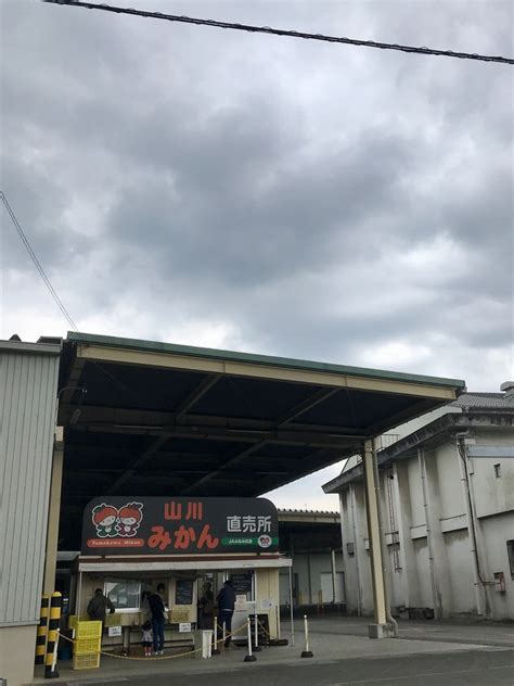 道の駅山川みかん直売所うどん屋家飲み 理系の戯言