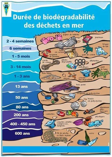 Durée De Vie Des Déchets Dans Lenvironnement À Voir