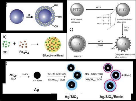 25 Various Silica Based Fluorescent Nanomaterials A Core Shell Silica