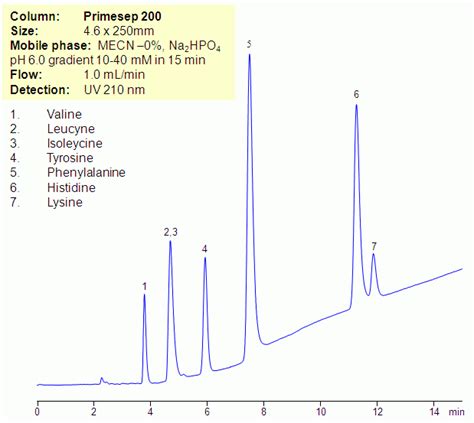 Hplc Separation Of Amino Acids In Zero Organic Mode On Primesep 200