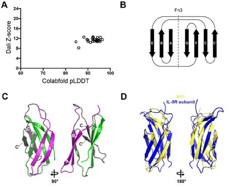Sequence Analysis And Structural Predictions Of The Ecs A Plot Of