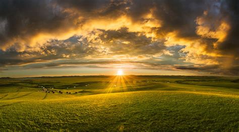 Grassland Sunset