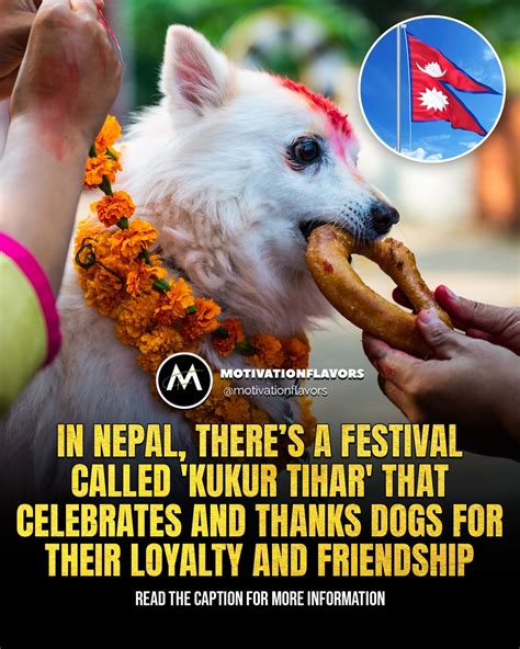 Success Inspiration Thoughts Follow 👉 Motivationflavors For More Content Like This 🌟 Dm