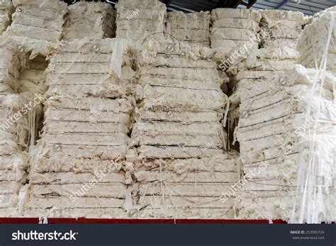 261326 Pulp 이미지 스톡 사진 및 벡터 Shutterstock