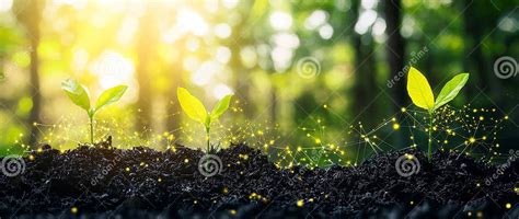 Illustration Of Raw Material Availability And Market Trends Influencing