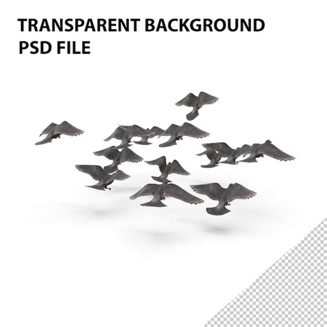 Premium Psd Flocking Birds Isolated On White Background