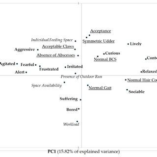 Loadings Of Qualitative Behaviour Assessment Descriptors In Bold