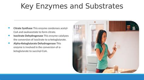 The Citric Acid Cycle