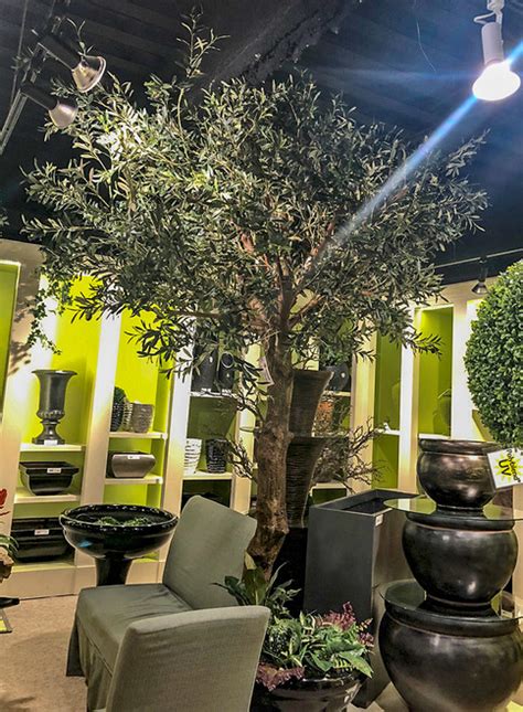 10 Foot Olive Tree With Pvc Trunk And Wood Pot Wholesale Greenery