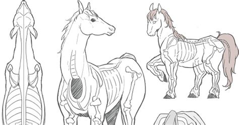 骨格、ポージング、装飾も！「馬」の描き方講座 10選