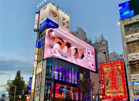 Tokyo 3d Billboard：wonderful 3d Effects Jyled