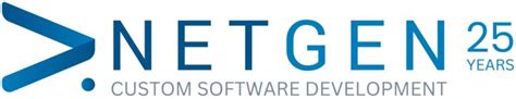 experts in custom software development netgen