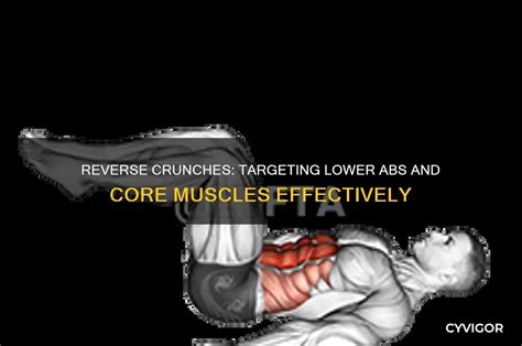 Reverse Crunches Targeting Lower Abs And Core Muscles Effectively