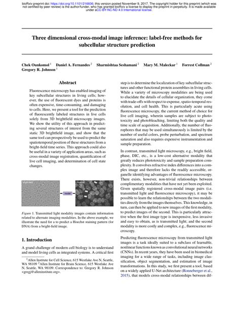 Pdf Three Dimensional Cross Modal Image Inference Label Free Methods
