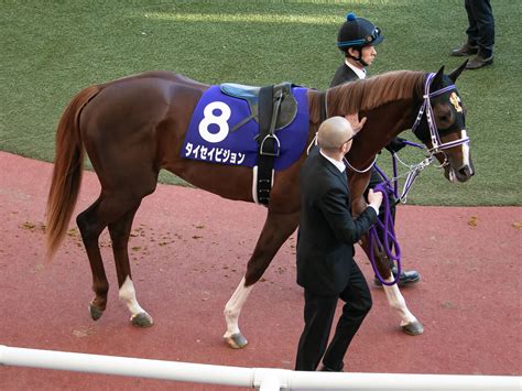 今週の重賞レース【阪急杯g3】2022 当たると話題の競馬予想！