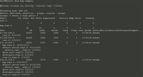 Appendix Erb Fabric Verification Optional Juniper Networks