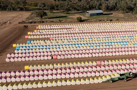 Cci Introduces Qr Code Traceability For Cotton Bales In India
