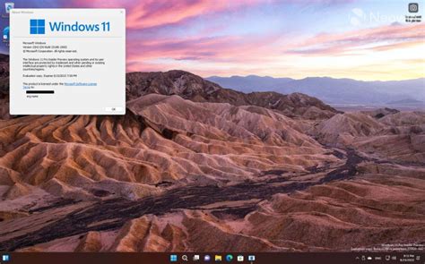 Windows 11 Dev Build 25188 Has Default Terminal More Legacy Settings Moved Over Software News