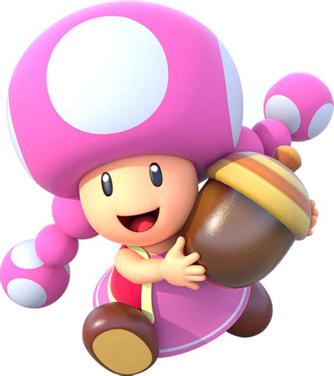 Image Mpsr Toadettepng Nintendo Fandom Powered By Wikia