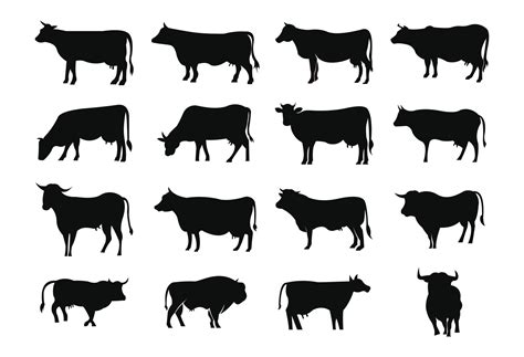 Cow Grazing On Meadow Cow Silhouette In Field Eating Grass Vector Cow