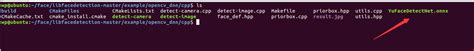 人脸识别基于libfacedetection开源项目环境搭建和实际实验opencv 集成 Libfacedetection Csdn博客