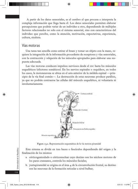 Manual de bases biológicas del comportamiento humano KARLA GUADALUPE