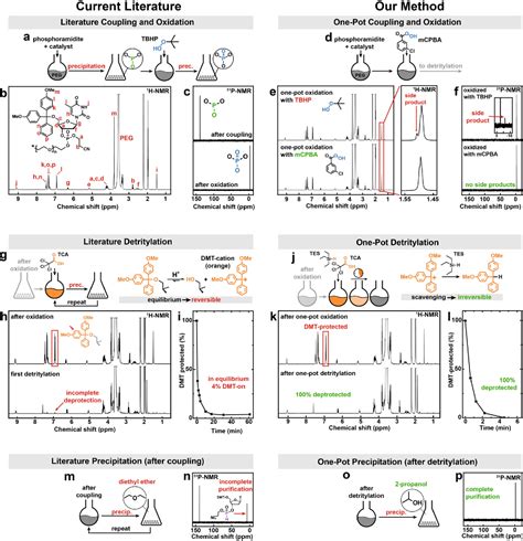 Figure 1 From Scalable One Pot Liquid Phase Oligonucleotide Synthesis For Model Network