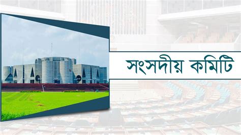 বিদ্যুৎ উৎপাদনে করণীয় নির্ধারণে সংসদীয় সাব কমিটি গঠন