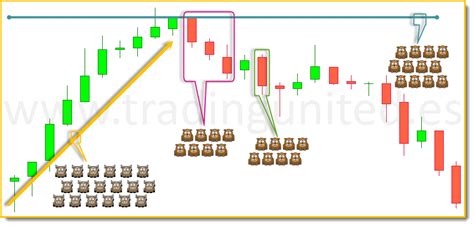 Curso De Forex Para Principiantes Lección 32 Velas Japonesas