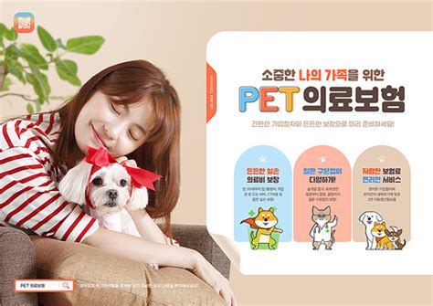 소파에 강아지와 편안하게 앉아있는 펫의료보험 홍보did 유토이미지 상세페이지 베이직샵 21856925