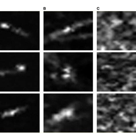 Figure Nine Examples Of The Three Types Of Sub Images In The