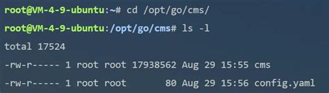 Ubuntu 部署 Ginvue 前后端分离项目 惜寞的无人小间