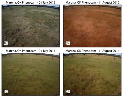S3ok Ou Researchers Study Global Distributions Trends And Drivers Of