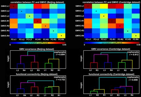 Upper Panels Spatial Correlation Between Functional Connectivity Fc Download Scientific
