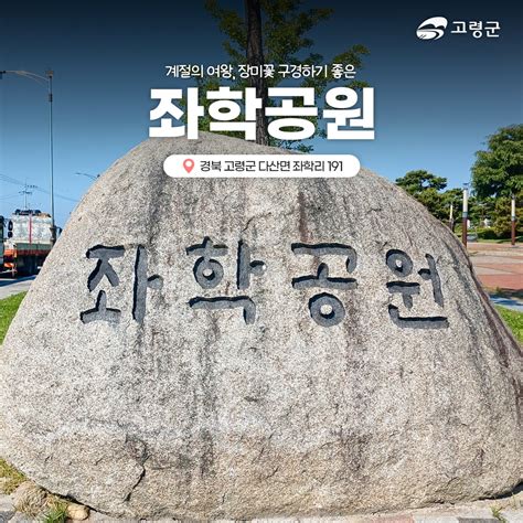 고령군청 계절의 여왕 장미꽃 구경 하기 좋은 좌학공원 🌹 📍경북 고령군 다산면 좌학리 191