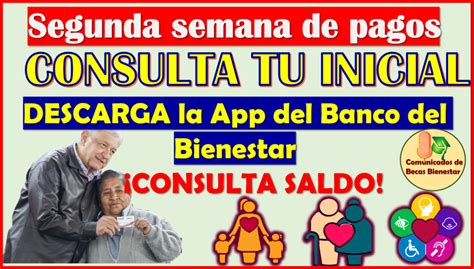 ≫ Comienza La Segunda Semana De Pagos De Las Pensiones Del Bienestar