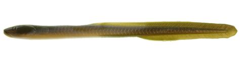 Gulp Alive Berkley Gulp Alive Eel Soft Bait Pint Hamilton Place