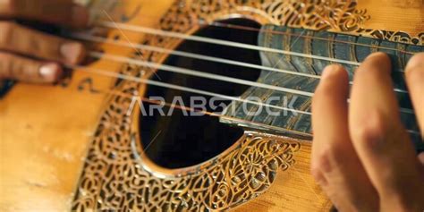 Enjoying Playing Classical Stringed Instruments Sitting Singing And