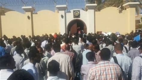 اعتصام سوداني أمام سفارة قطر تنديداً بعبثها في بلادهم أهل مصر