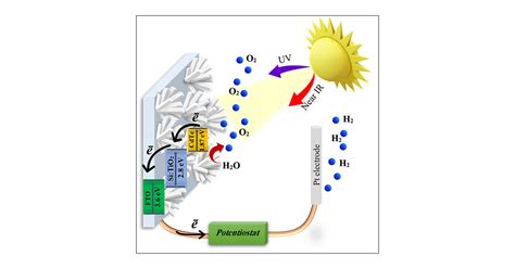 Energy Band Engineering By CdTe Si Codoped TiO2 Nanoarrays For Enhanced Photoelectrochemical