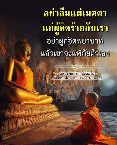 ฟังนะ 🌿 เมตตา คืออาวุธของผู้มีปัญญา 🌿 📖 ข้อคิดจากคำสอนในภาพ ในชีวิตเราย่อมต้องพบเจอทั้งคนดี