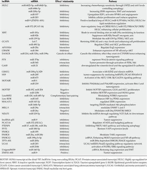 interplay between long non coding rnas and mirnas download table