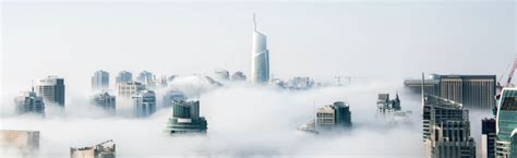 blueciate on linkedin introducing the sap cloud application
