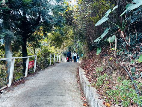 南投 雙龍瀑布七彩吊橋 體驗高空腳踏七色彩虹 布可人