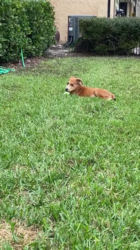 Ryan Elijah Fox 35 Home Facebook