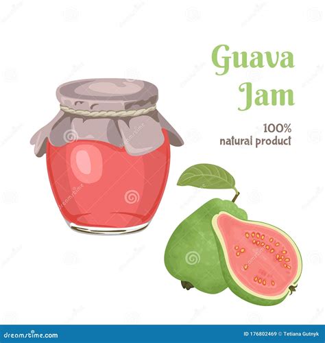 Guava Pink Jam In Glass Jar Isolated On White Background Vector